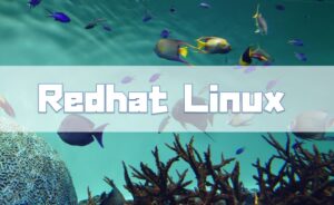【RHEL】TeratermでSSH切断後もコマンドを実行し続ける方法 | cyber_tech_narrative